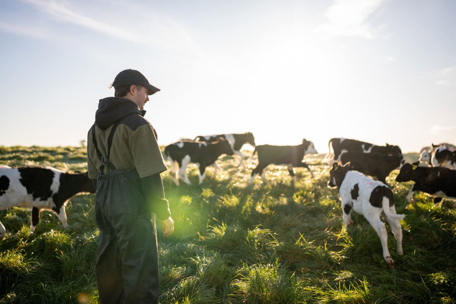 Dairy Month: A Day in the Life of a Wisconsin Dairy Farmer - The ...
